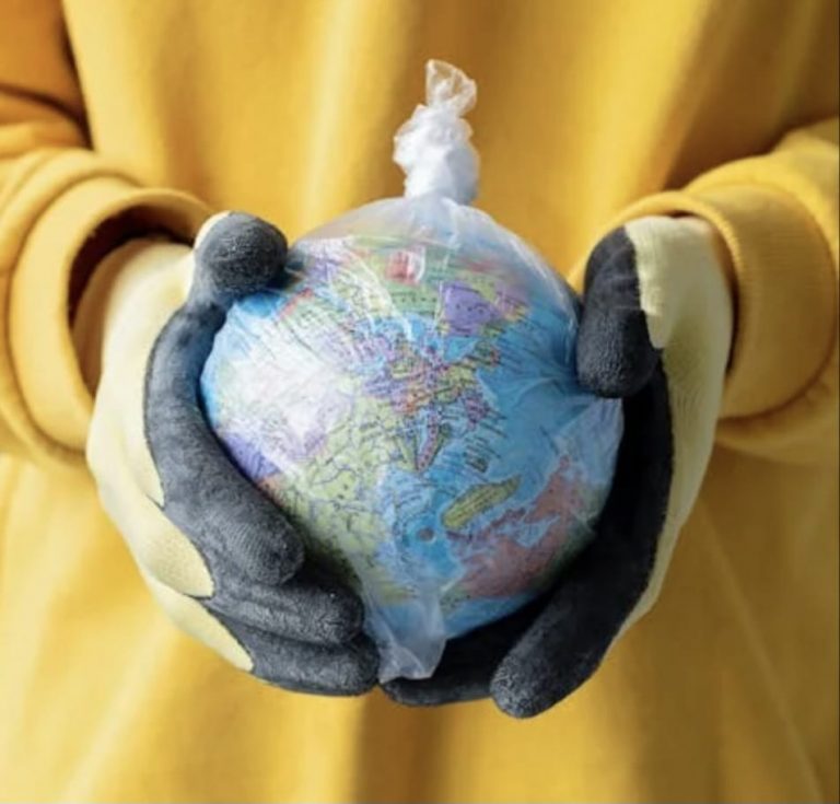 Día Mundial del Medio Ambiente: origen, importancia y desafíos actuales ...